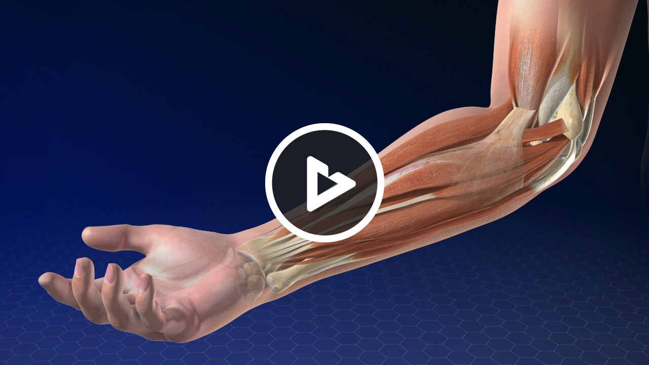 Medial Epicondylitis (Golfer's Elbow) - Hand, Wrist & Elbow - Willis ...